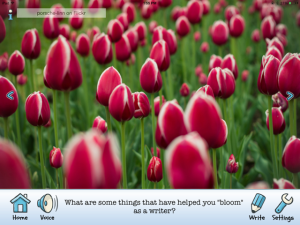 Wonder Wednesday: Why Do Flowers Bloom in the Spring? | Write About This