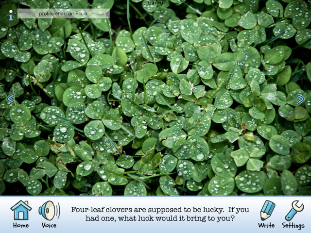 Wonder Wednesday: Why are Four-Leaf Clovers Considered Lucky? | Write ...